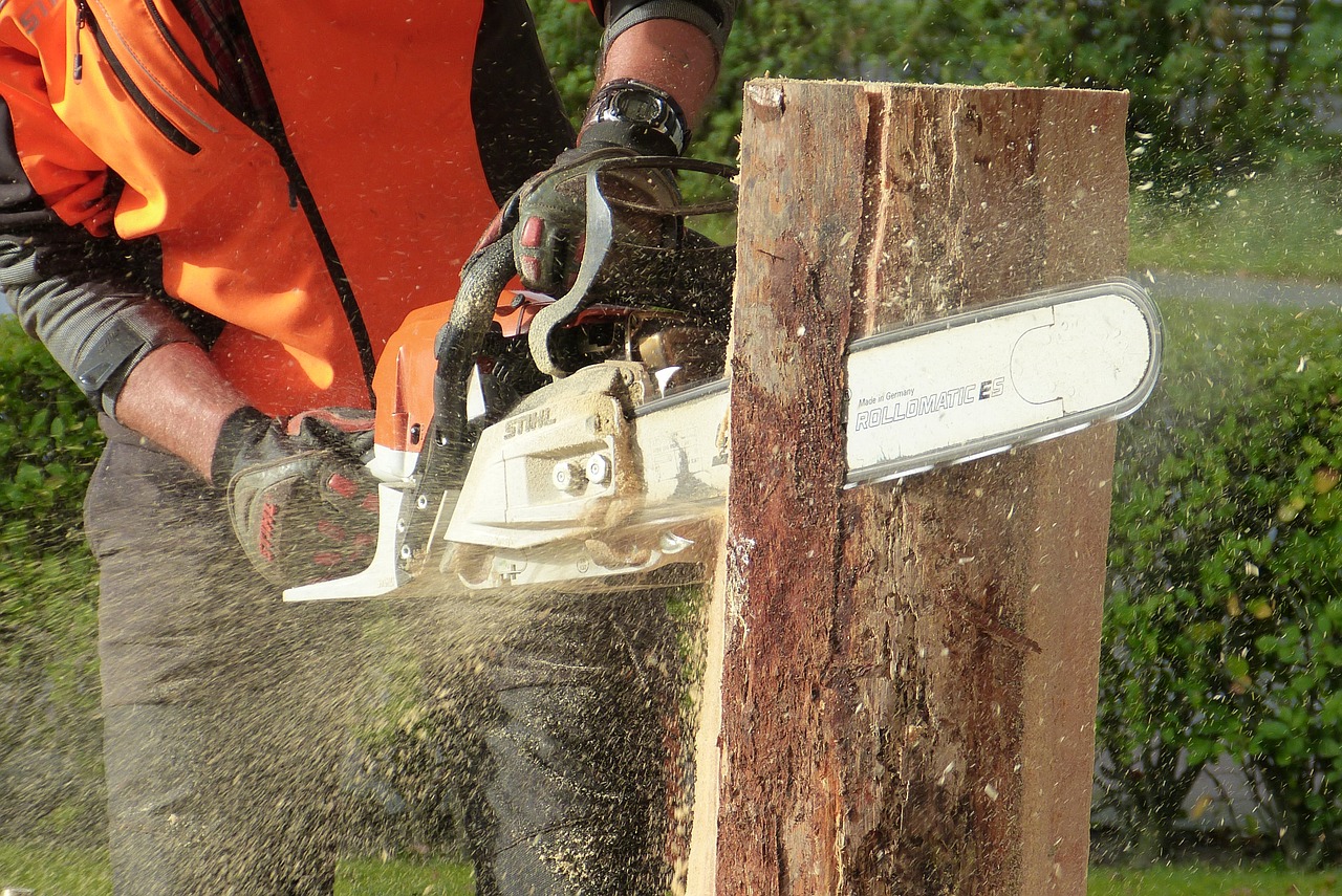 Chainsaw PPE Selection | WORK SAFE KENTUCKY